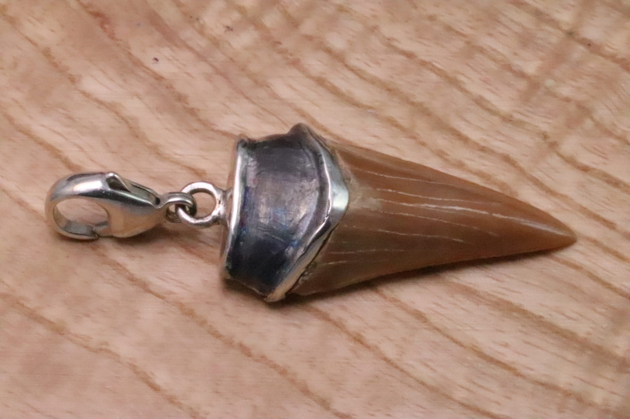 Haifisch-Zahn – Kleinot – SchmuckManufaktur – Toni Gahbauer